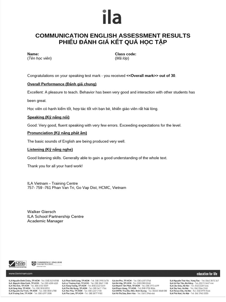 Assessment Report (Template) - Excellent | PDF