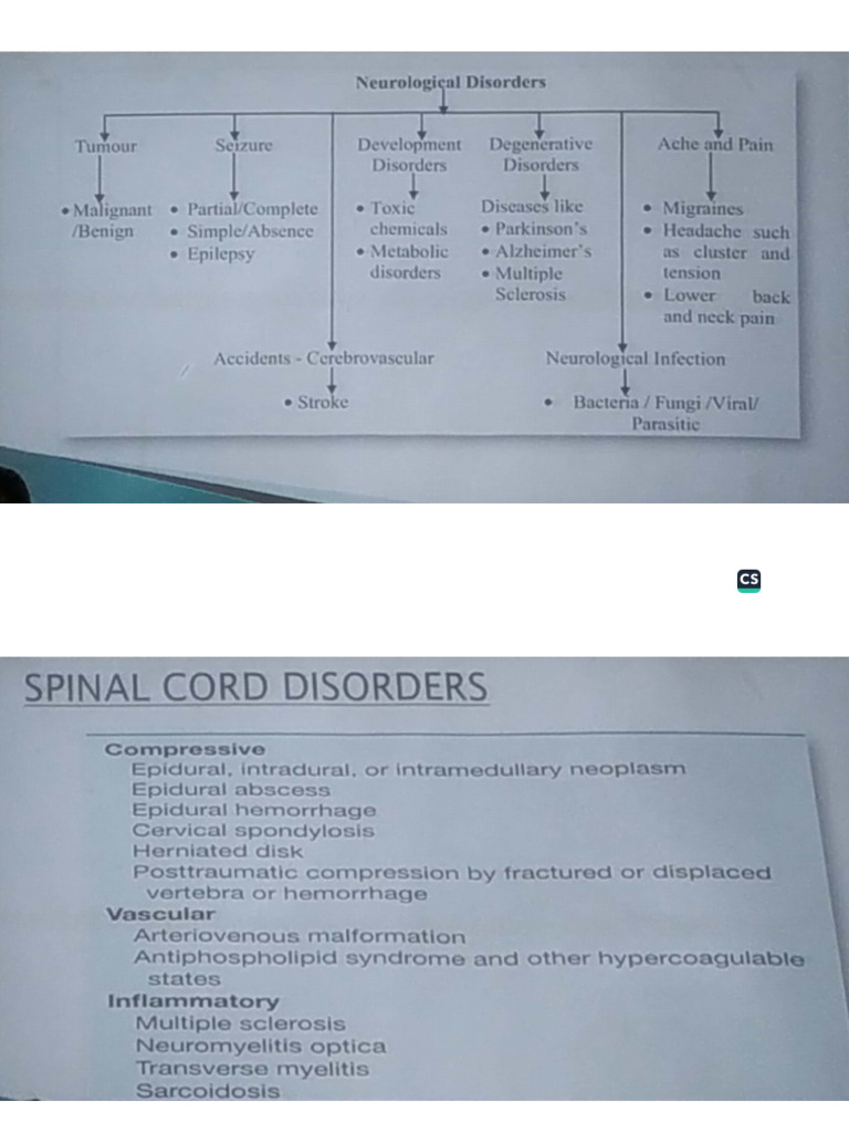 Neuro Intro, Bell's Palsy | PDF