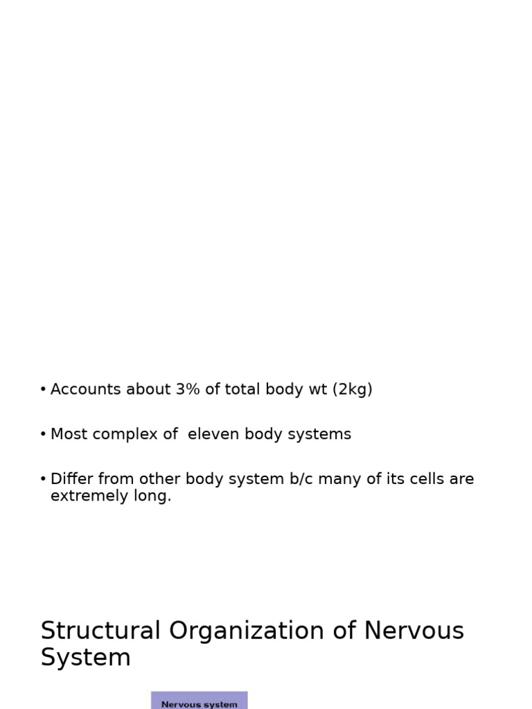 Introduction To Nervous System | PDF | Neuron | Central Nervous System