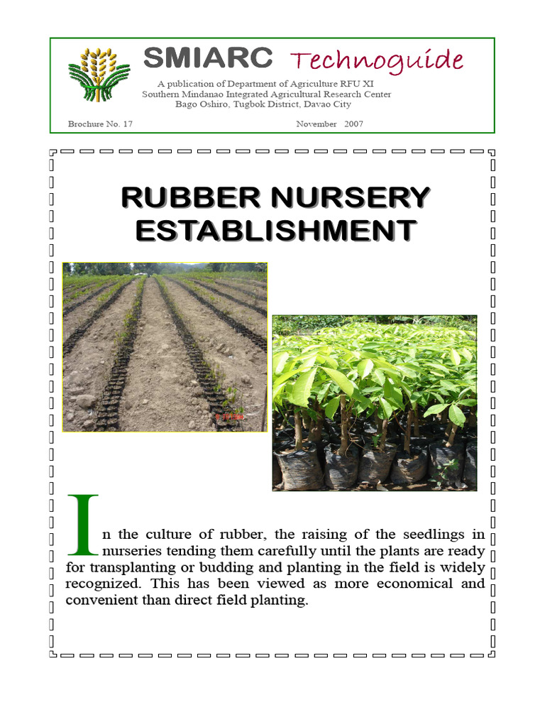 287158363 Rubber Nursery Establishment | PDF | Grafting | Plant Nursery