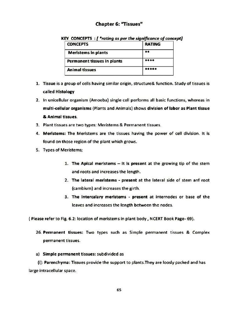 Tissue Class 9 Notes | PDF