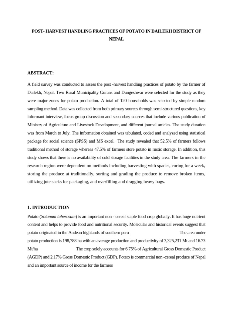 Post-Harvest Potato Handling in Dailekh | PDF | Potato | Vegetables