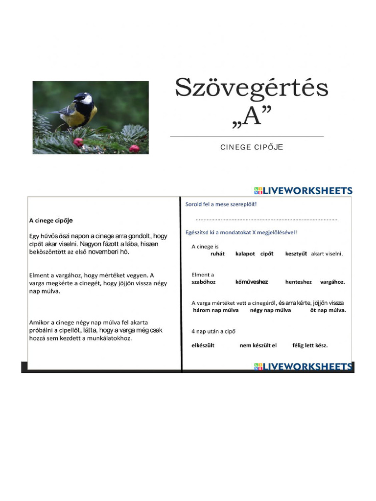 A Cinege Cipoje-Munkalap | PDF