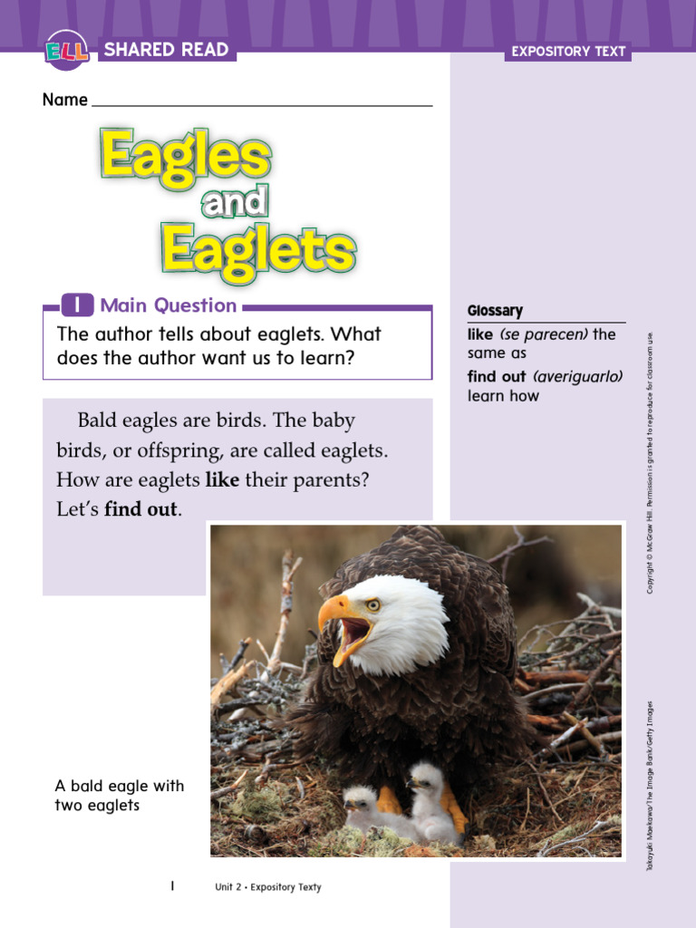 Comprehension Practice-Eagles and Eaglets | PDF | Nest | Eagle