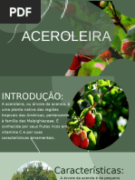 AROEIRA | PDF