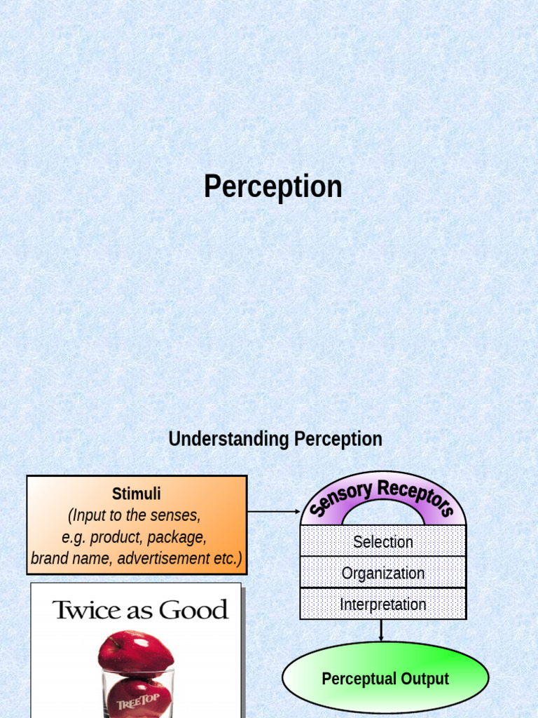 Perception | PDF