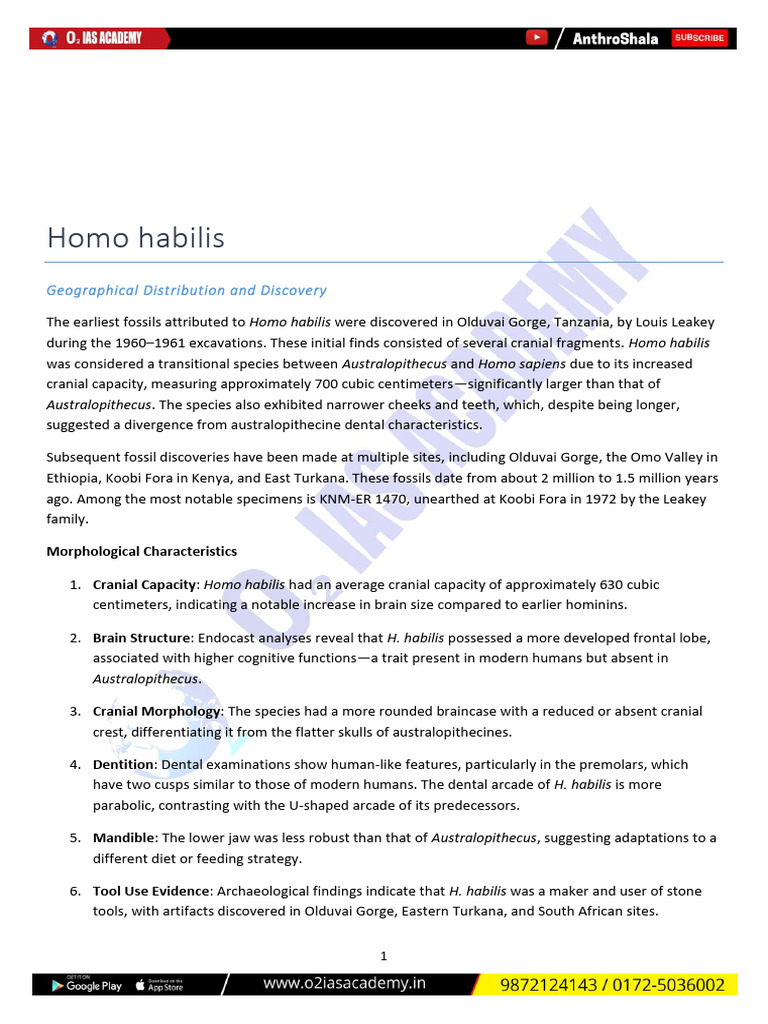 Homo Habilis To Sepiens | PDF | Homo | Human Evolution