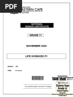 KCBE Science QA Exam Paper. Final | PDF | Chemical Compounds | Ion