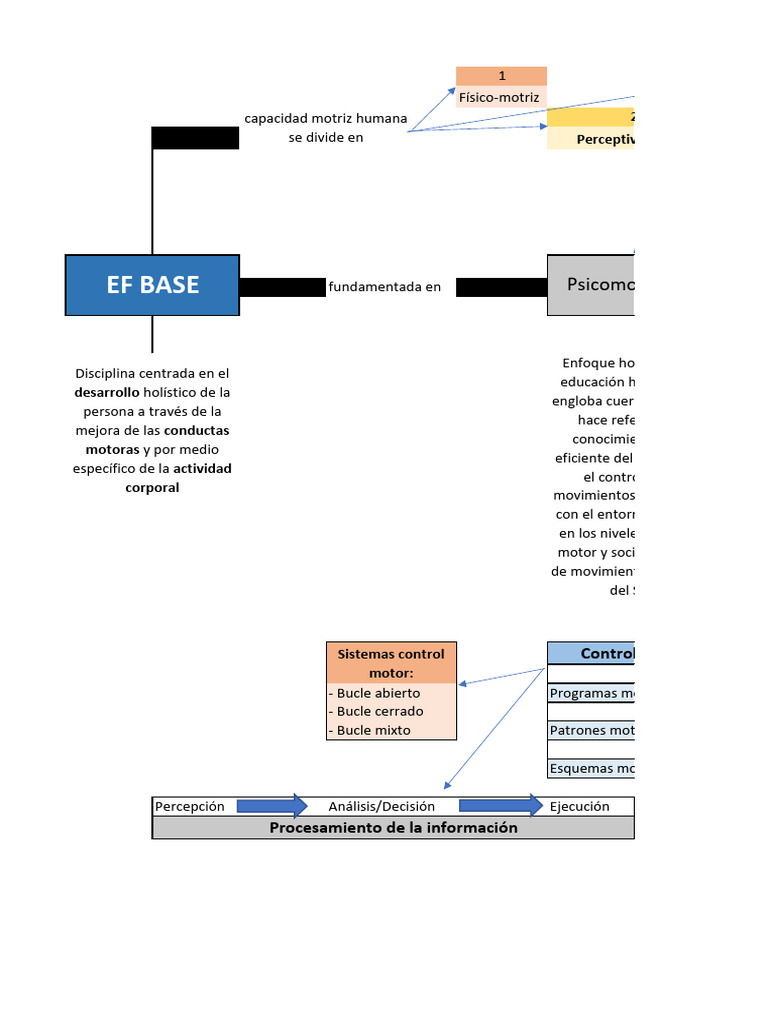 Mapa Conceptual EF Base | PDF | Mente | Conocimiento