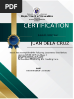 Certification From Ict Coordinator Sample | PDF