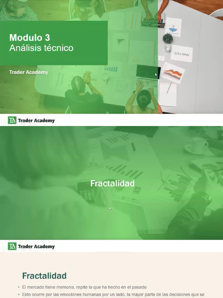 Dimension de La Fractalidad | PDF