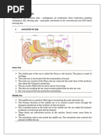 Teed Scale Descriptions | PDF