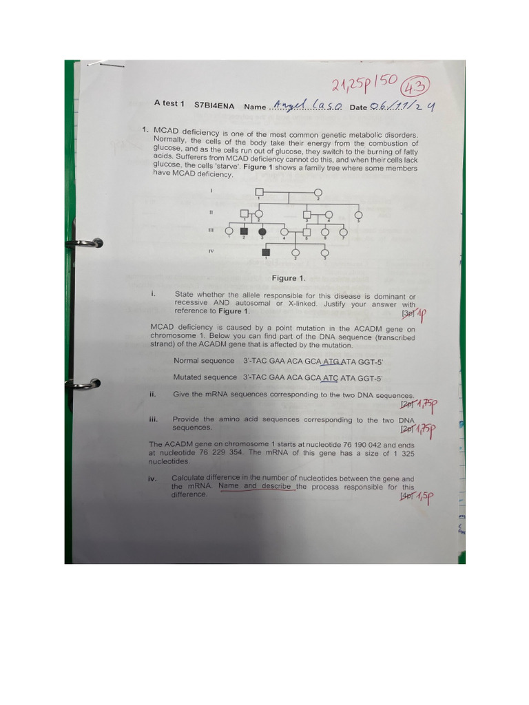Past Paper ATP and Protein Synthesis | PDF