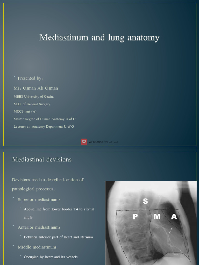 Lung Pdf Lung Respiratory Tract