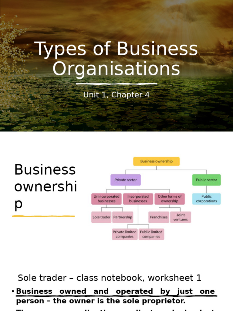 Types of Business Organizations | PDF | Franchising | Partnership