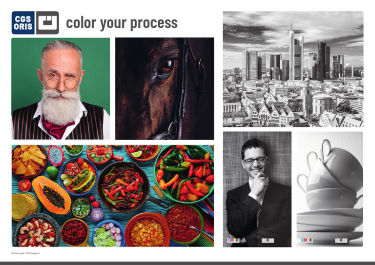 CGS ORIS Testchart PSO Coated v3 | PDF