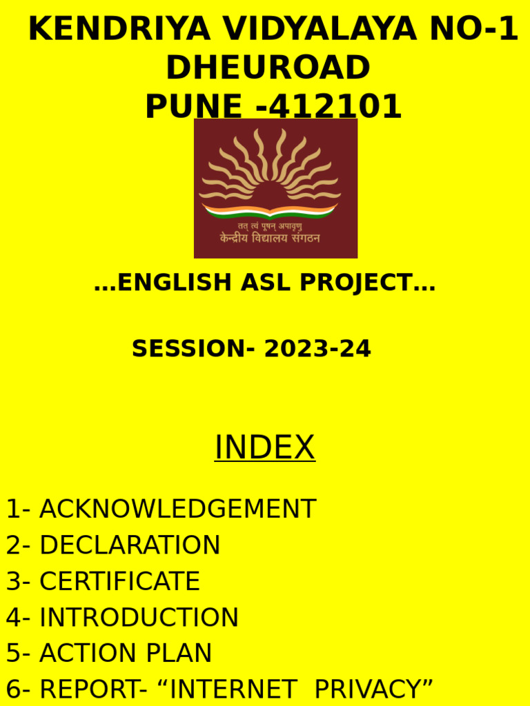 Anshit Yadav Internet Privacy Asl | PDF | Internet Privacy | Privacy