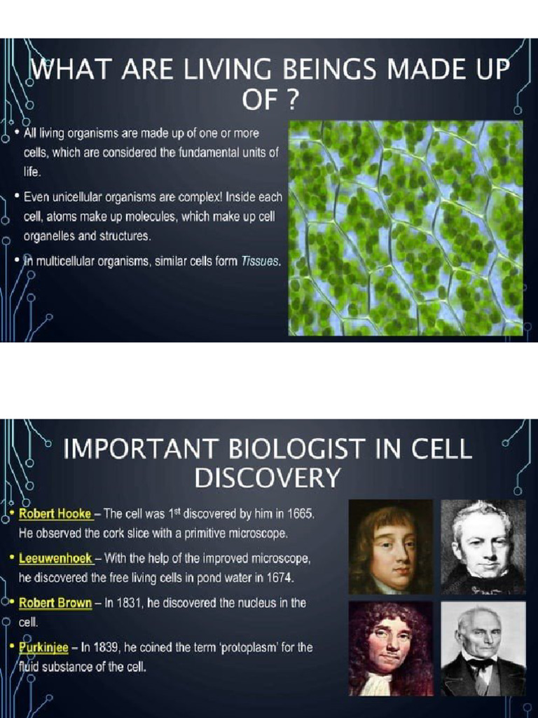 Biology. CH ' Cell | PDF