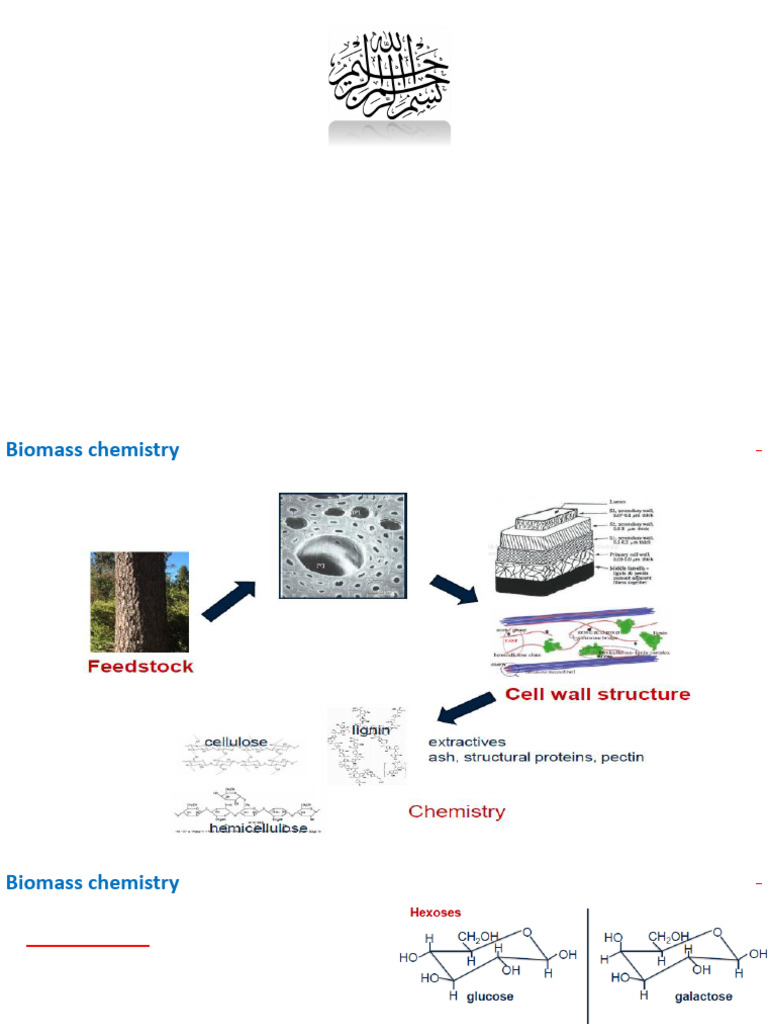 Session 04 BT 1403 | PDF | Lignin | Carbohydrates Session 04 BT 1403 | PDF | Lignin | Carbohydrates