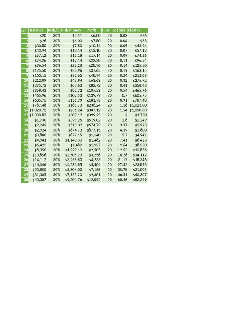 Forex Trading Risk & Profit Table | PDF