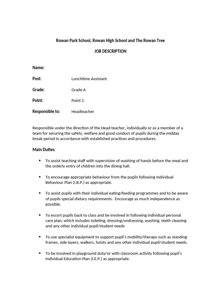 Lunchtime Assistant - JD PS | PDF