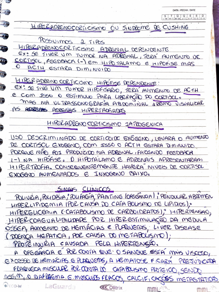 Adobe Scan 14 de Out. de 2024 | PDF