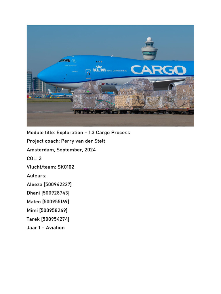 SK0102 PP3 Cargo Process | PDF