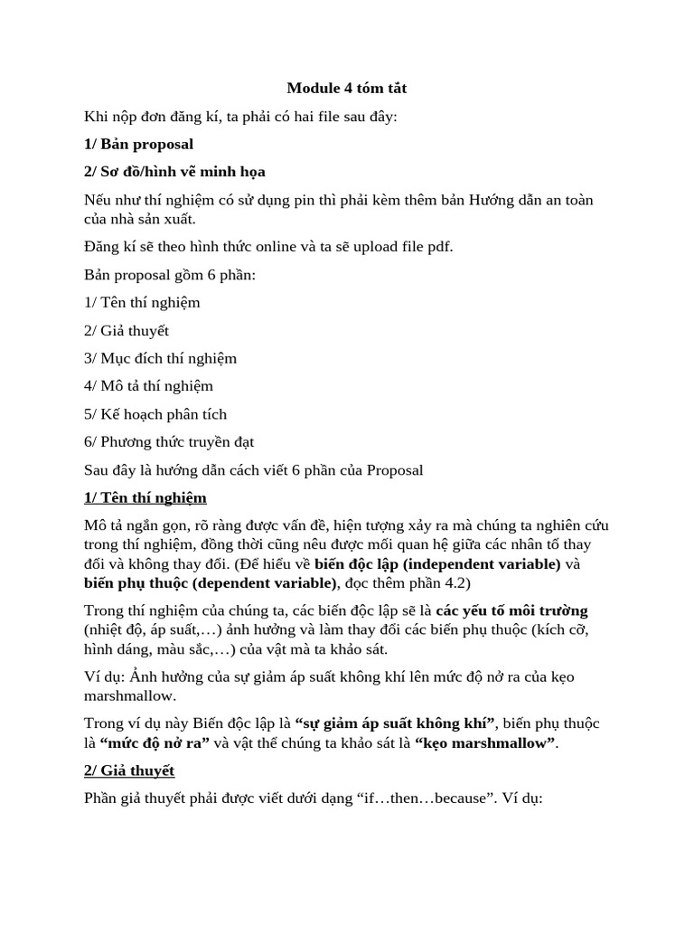 Module 4-CIS-Summary | PDF