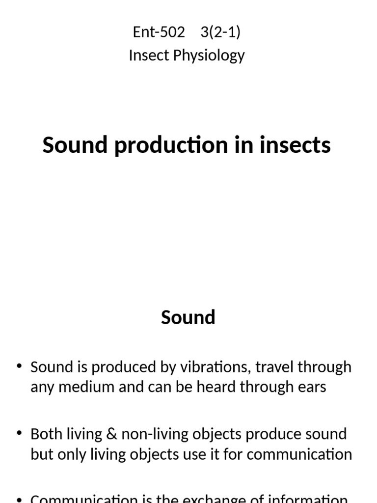 Insect Sound Production Mechanisms | PDF | Sound | Acoustics