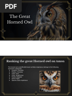 Owl Babies - Waddell, Martin Benson, Patrick, Ill | PDF | Birds Of Prey