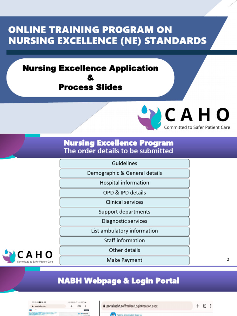 Nursing Excellence Process & Proceedings Slides | PDF