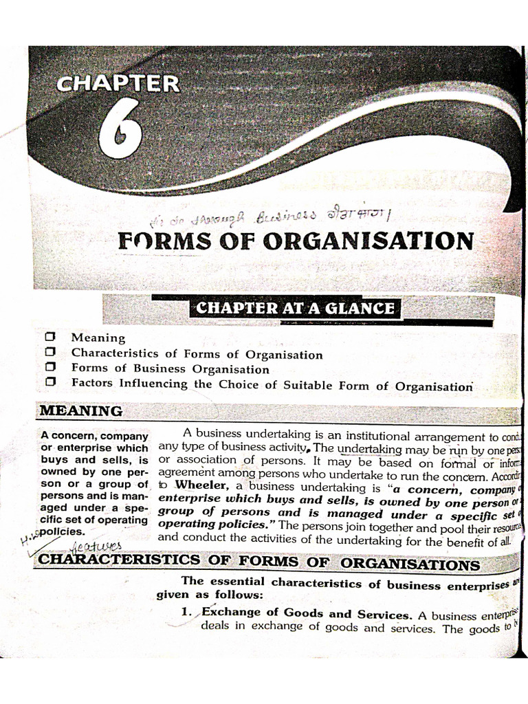 Forms of Organisation (Chapter 6) | PDF