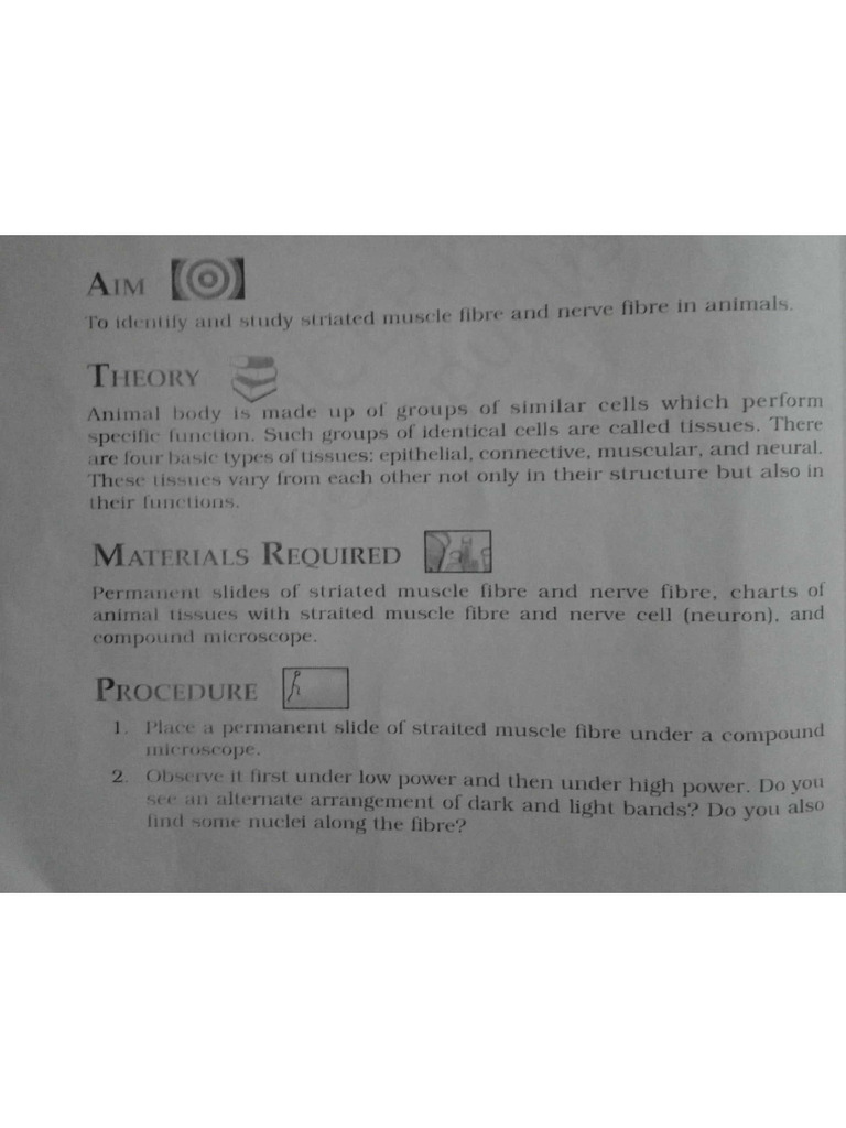 Experment No.7 Class IX | PDF