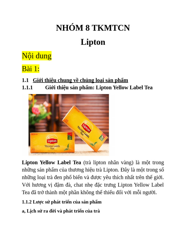 NHÓM 8 - Trà Lipton | PDF