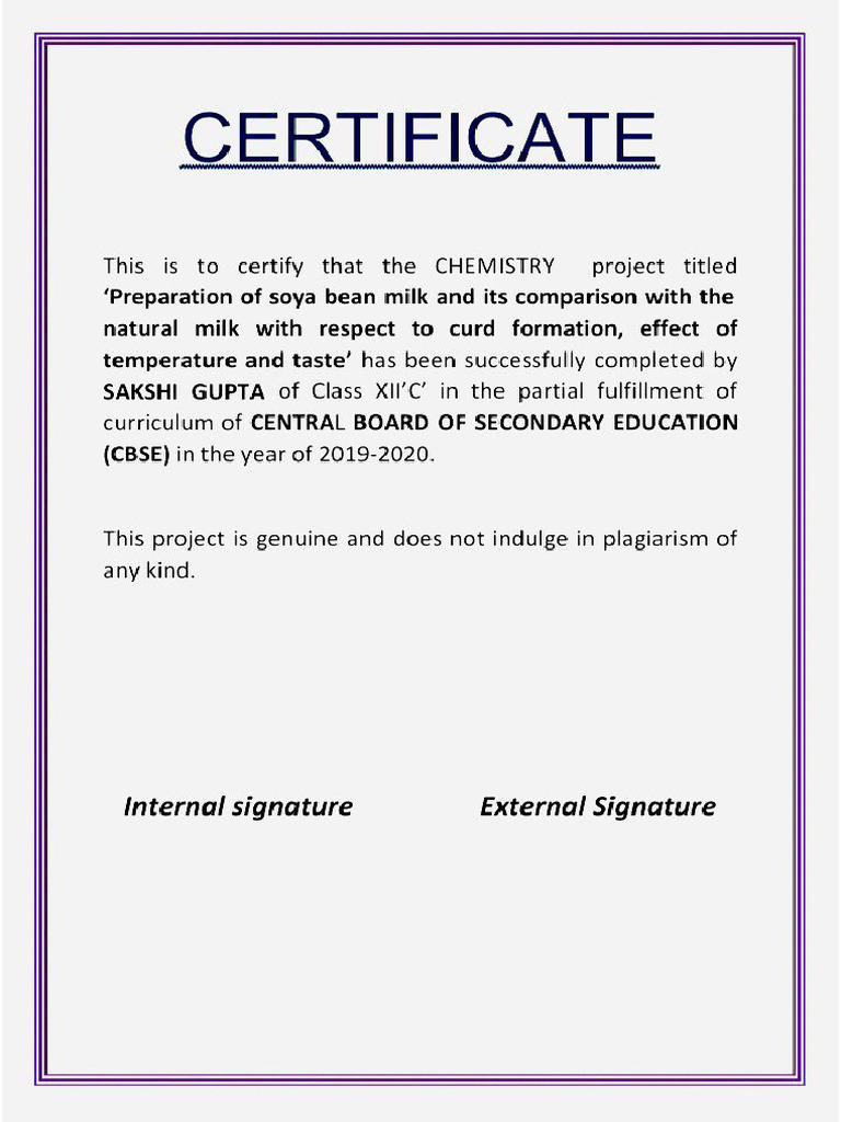 Ip Project File | PDF