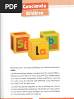 Características del Patrón Silábico | PDF | Cocina, comidas y vino