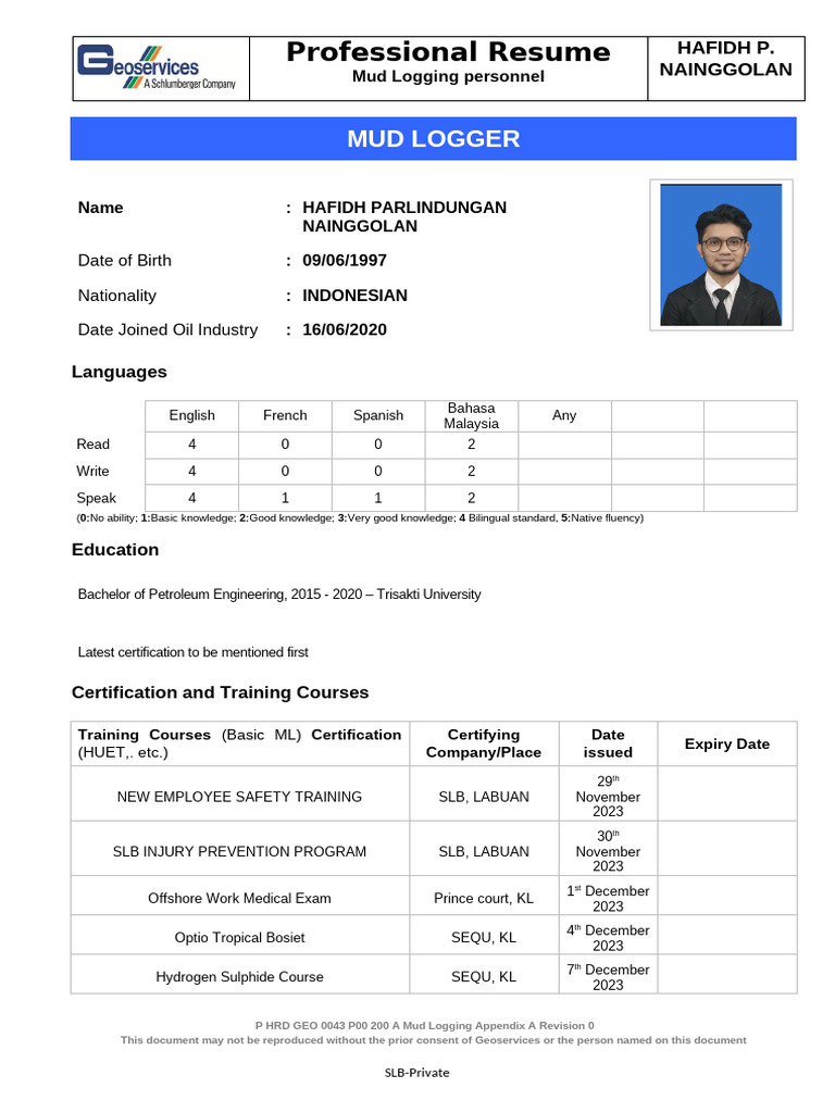 Mud Logging Analyst Resume: HAFIDH P. | PDF | Petroleum Industry