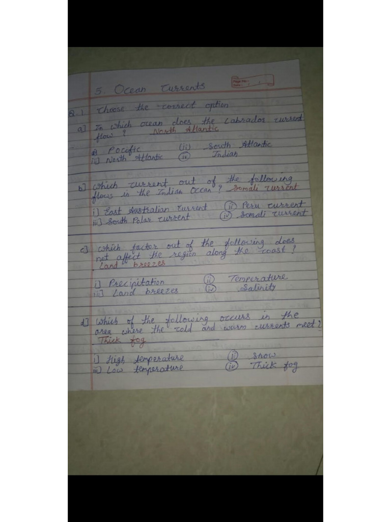 My Handwritten Class 8th Answer | PDF