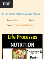Class 10 - Life processes PPT | PDF | Nutrition | Diet & Nutrition
