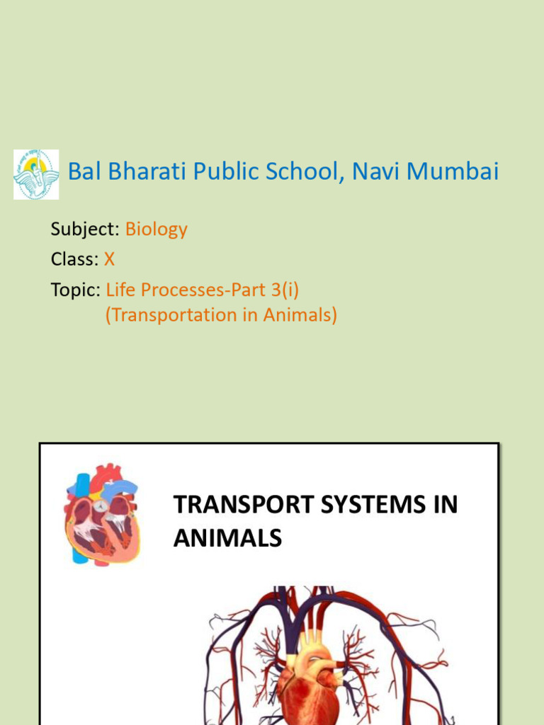 Transportation in Animals | PDF | Atrium (Heart) | Heart Valve