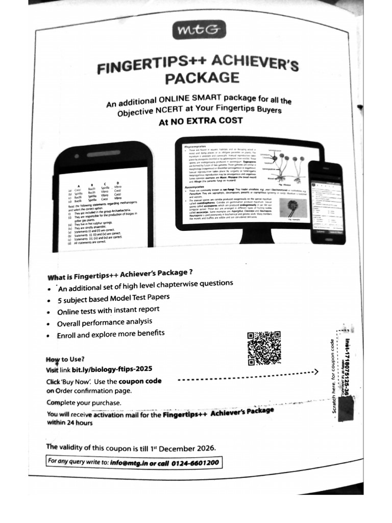 ACE Scanner - 2024 - 11 - 09 | PDF