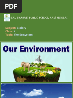 Our Environment (Prashant Kirad) | PDF | Ecosystem | Food Web