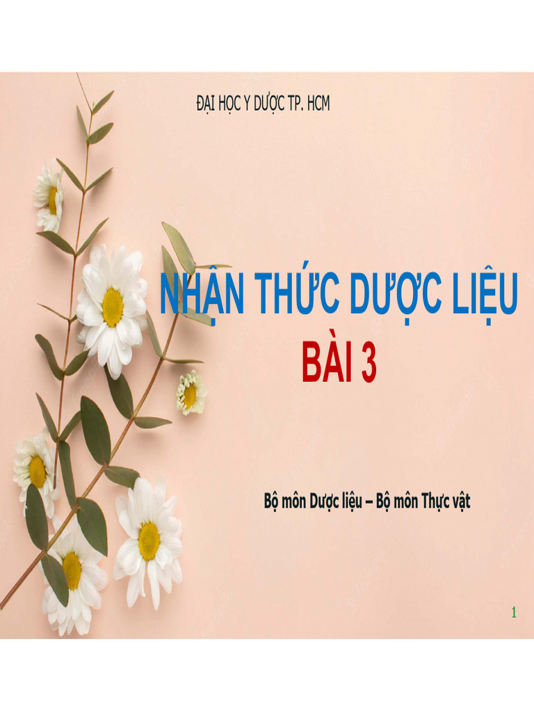 2024 - NTDL Bai 3 | PDF