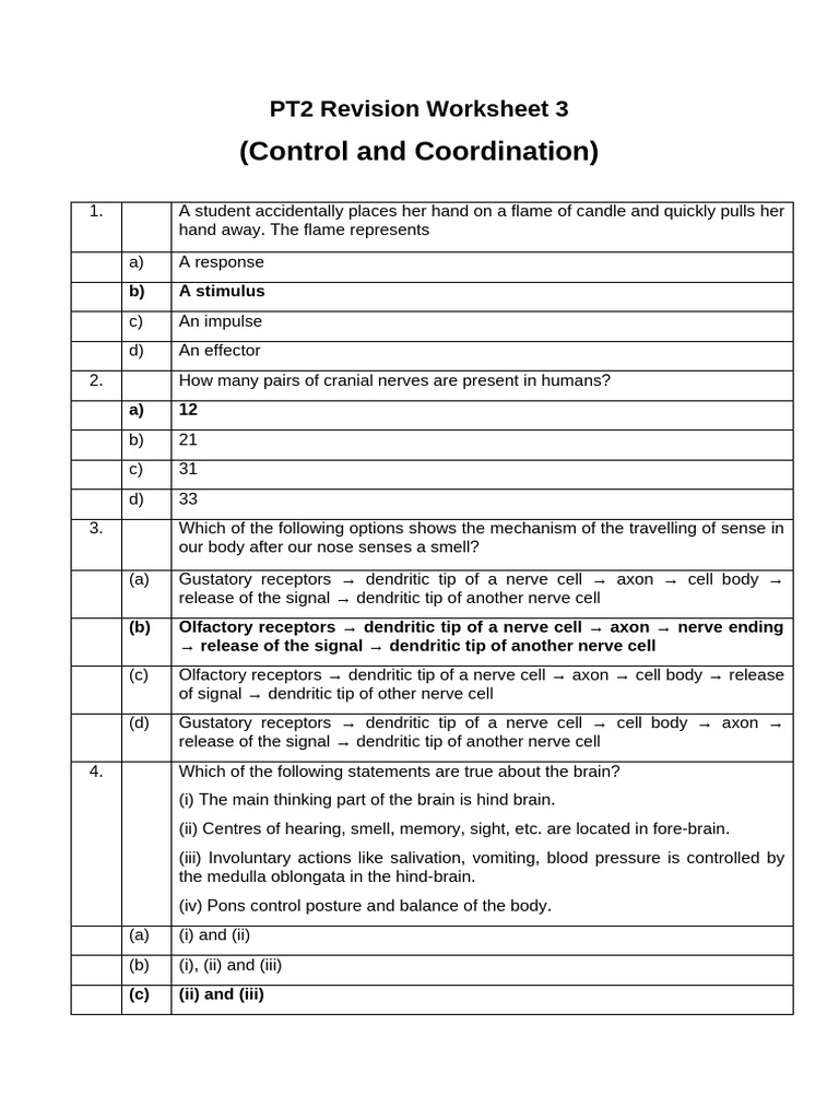 Control and Coordination Revision Worksheet | PDF | Neuron | Nervous System