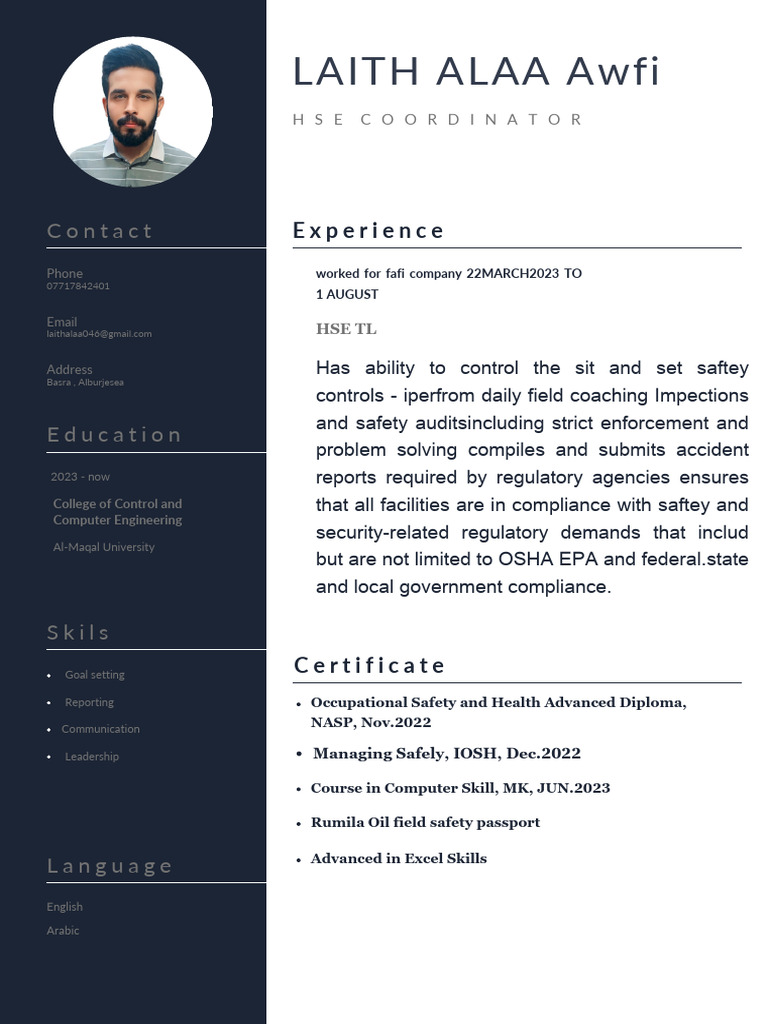 CV Laith Alaa | PDF