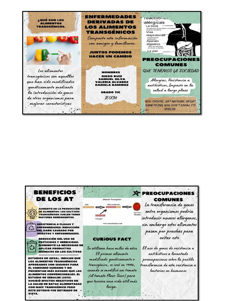 Alejandro Ochoa | PDF