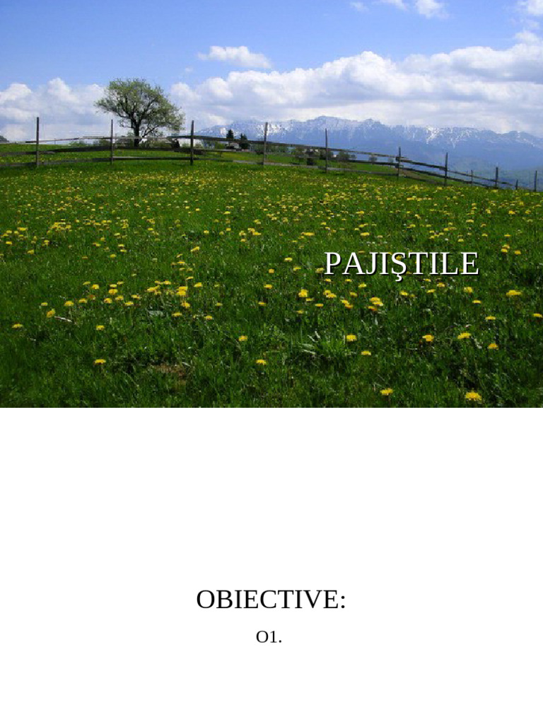 Pajistea | PDF