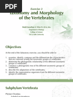 Axolotl Taxonomy | PDF