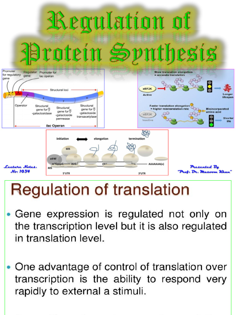 Regulation of Protein Synthesis | PDF