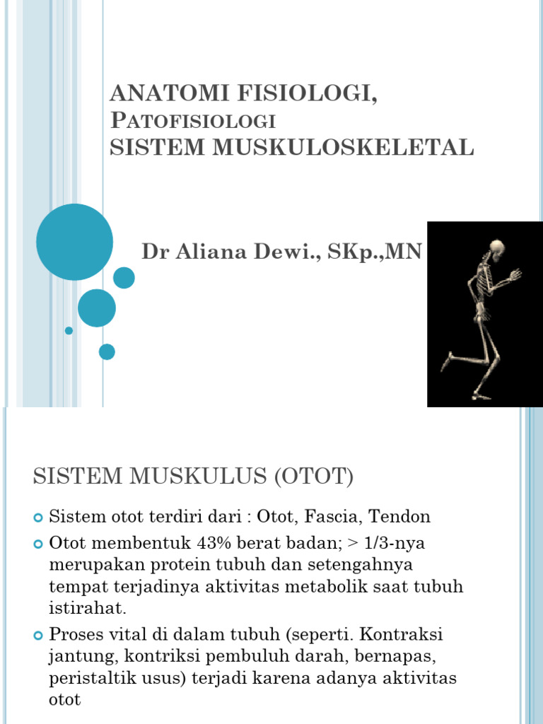 Anfis, Patofis Sistem Muskuloskeletal | PDF